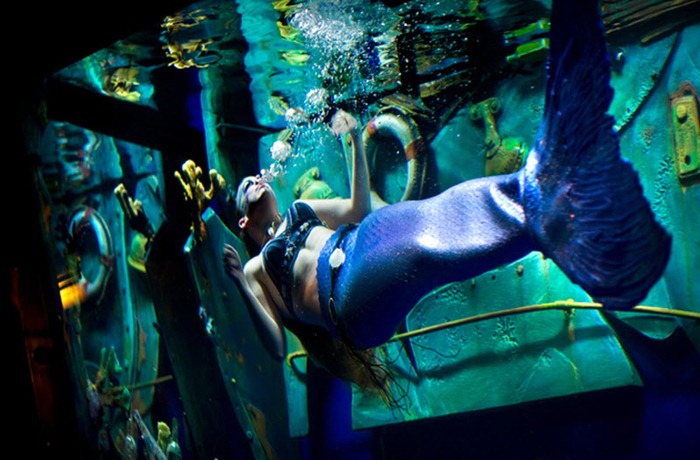 Mermaid Bar at Sacramento | Amusing Planet